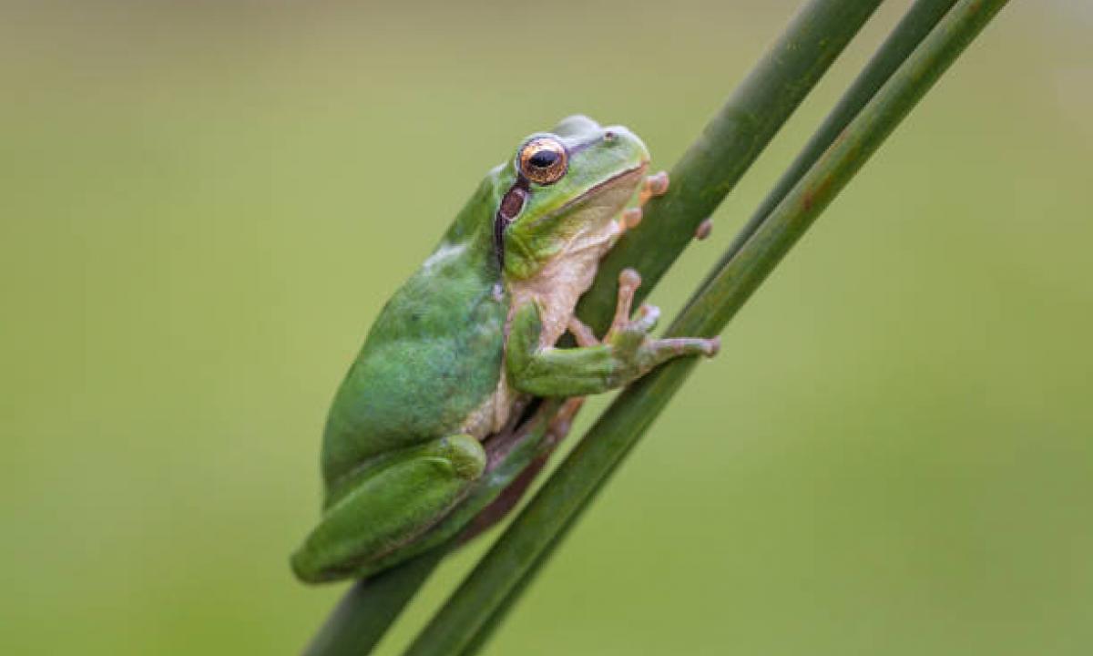 Black tape project as the feedback shows, it was an