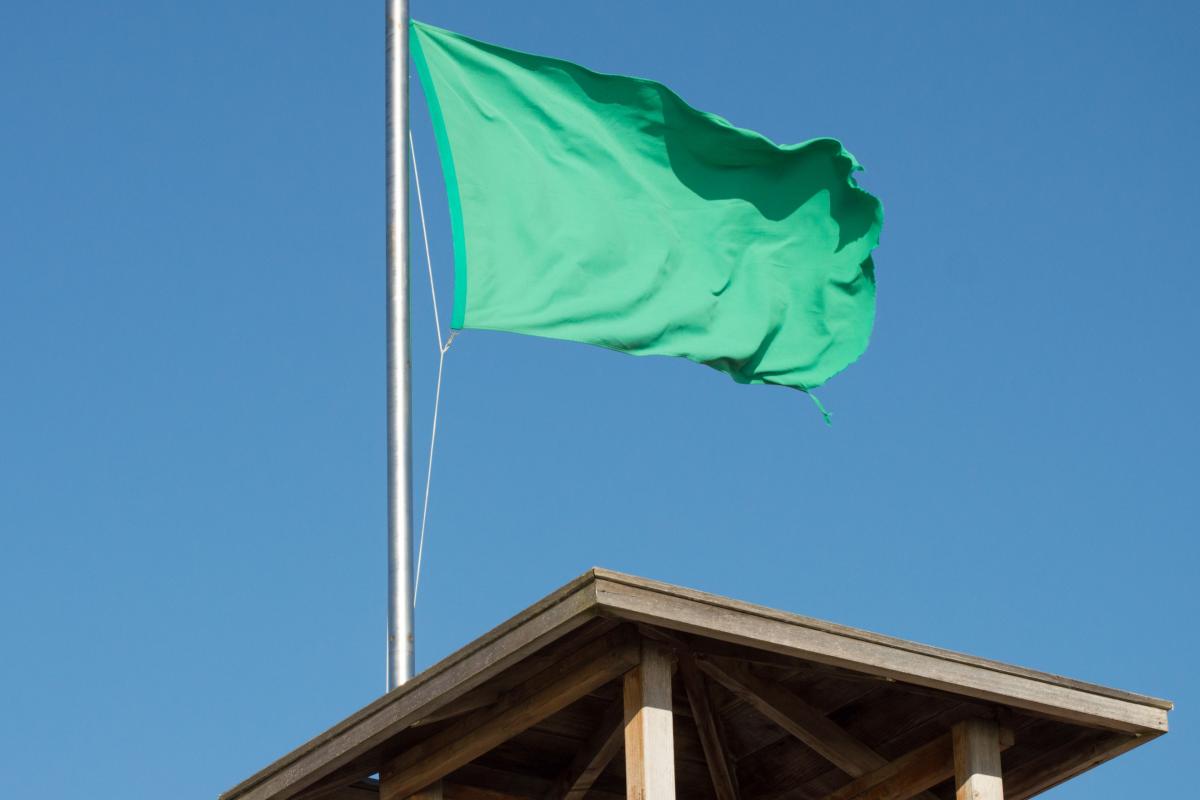 Conoces las banderas verdes y rojas en una relación. ¿Y las rosas?