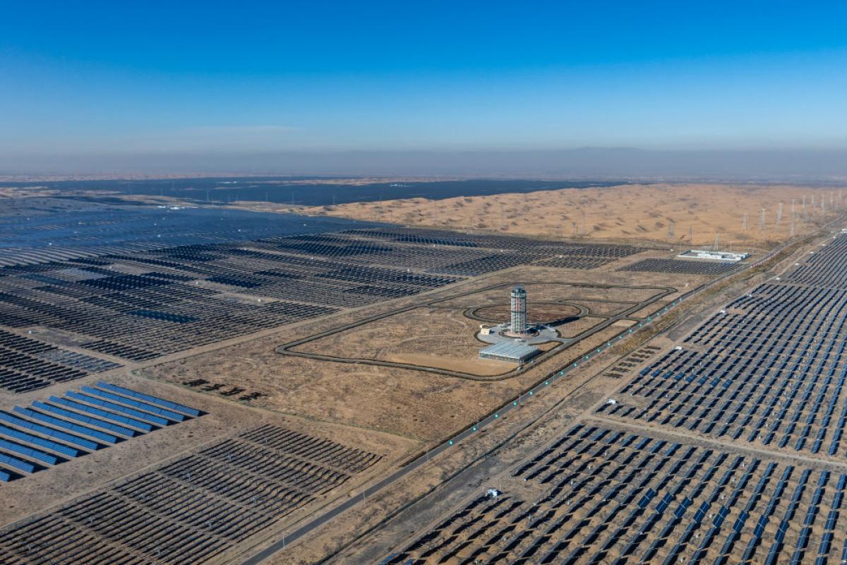 Un país cubre todo su desierto con paneles solares y lo que sucede cambia el ecosistema para siempre