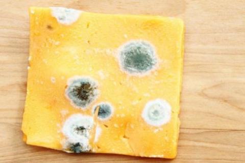 ¿Qué alimentos se pueden comer aunque tengan moho?