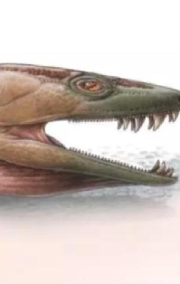 La enorme bestia de pantano que estaba en la Tierra 40 millones de años ...
