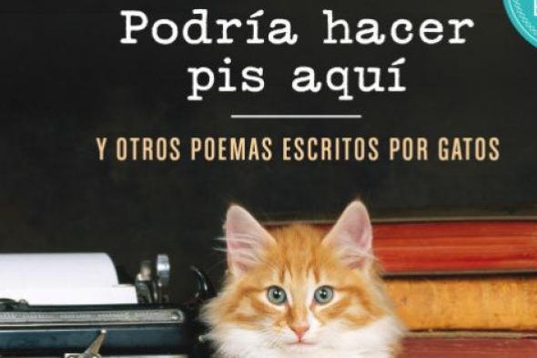 'Podría hacer pis aquí': cuando los gatos se convierten en poetas (GIFS)