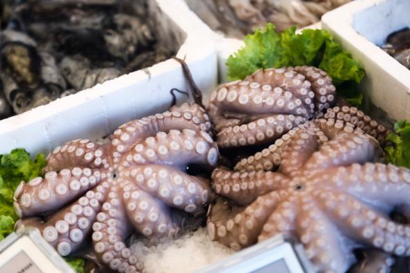 Una solución 'cruel' para abaratar el precio del pulpo