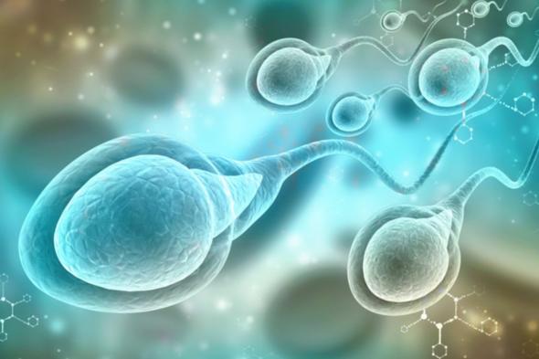 Una madre inseminada por el hombre con 550 hijos: 'Si hubiera sabido ...