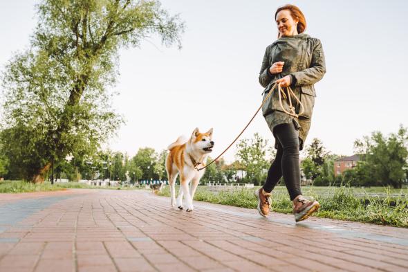 Ni caminar ni correr: una veterinaria advierte del comportamiento que ...
