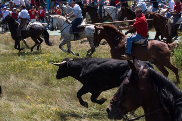 Fiestas de San Juan 2024 en Soria: ¿cuál el origen del Jueves La Saca?