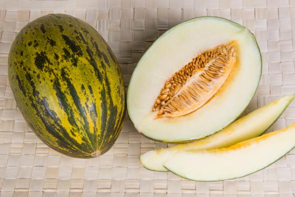 Hallan el melón más grande de España con un peso de 31 kilos
