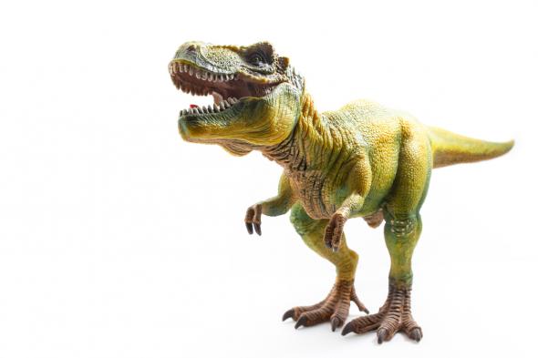 Resuelven el gran misterio de los brazos cortos del Tyrannosaurus Rex