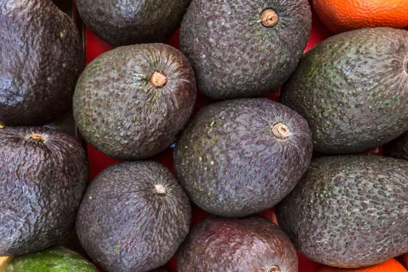 Prueba por primera vez un aguacate, pone estas caras y acaba dándole ...