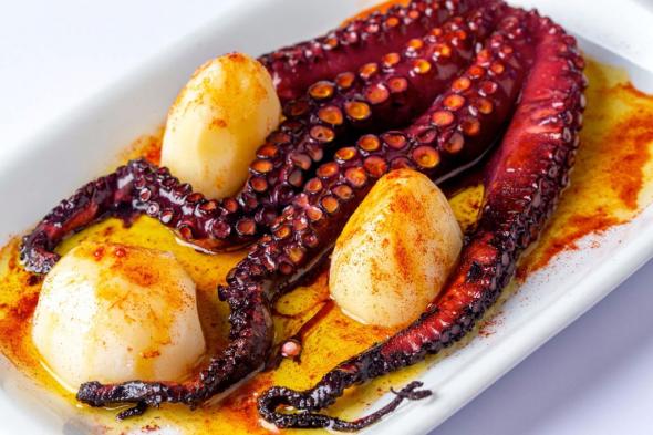 Un banquero y una profesora dan el pelotazo con el mejor pulpo del mundo