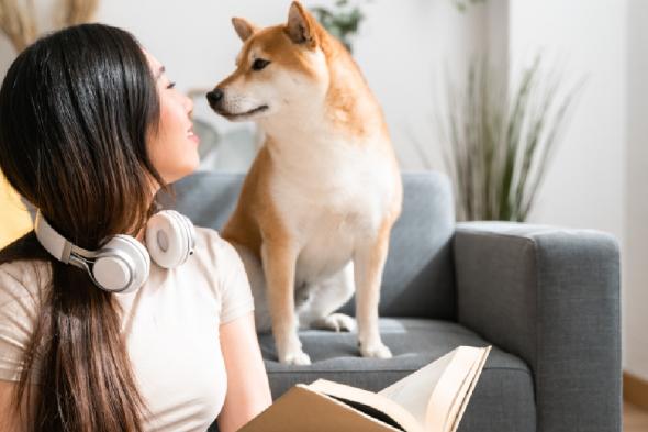 Tu perro te entiende: la ciencia aclara las 10 palabras que comprende ...