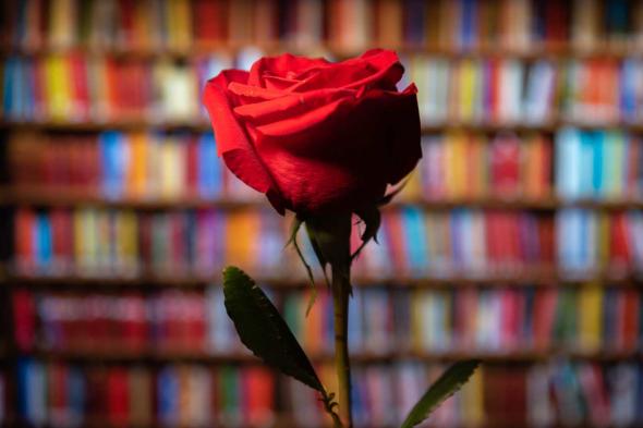 El auténtico origen de Sant Jordi: las dos leyendas detrás de la rosa y ...