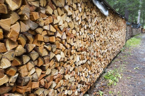 La leña tiene fecha de caducidad y los expertos piden no usarla en la ...