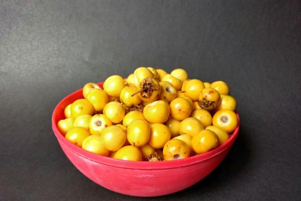 La desconocida fruta que tiene el secreto de la juventud