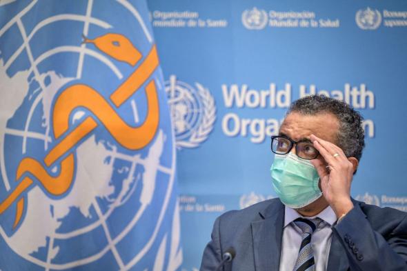 El día que la OMS se decidió: cronología de un tiempo clave a los cinco años de la declaración ...