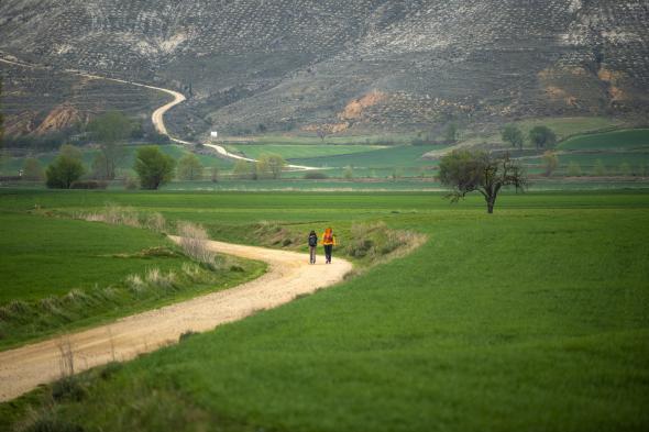 Camino de Santiago: etapas y tramos del camino de invierno