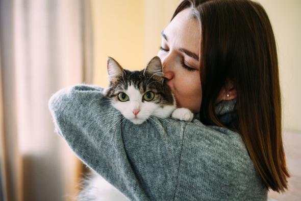 La palabra en español para describir el amor profundo a los gatos es ...