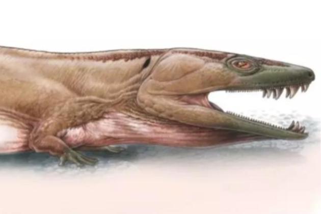 La enorme bestia de pantano que estaba en la Tierra 40 millones de años ...