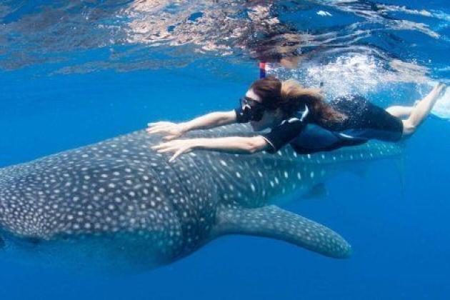 Fidio bokep tante removed my footwear and headed for the BT