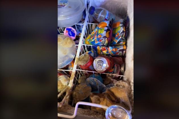 Una vendedora sufre las consecuencias de dejar varias latas de Coca ...