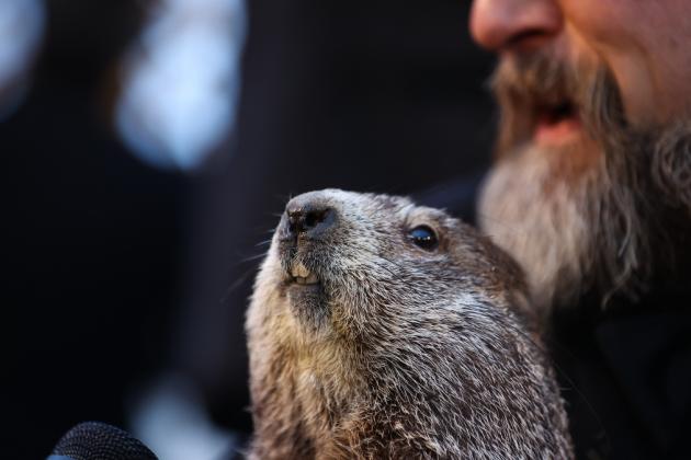 ¿Cuándo es el Día de la Marmota? El origen de la predicción de Phil