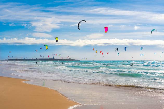 Bokep indo only tara's profile and photos stood out via