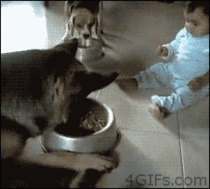 Ser bebé mola más: 29 gifs animados que te lo recuerdan