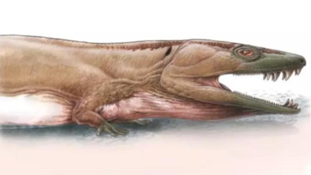 La enorme bestia de pantano que estaba en la Tierra 40 millones de años ...