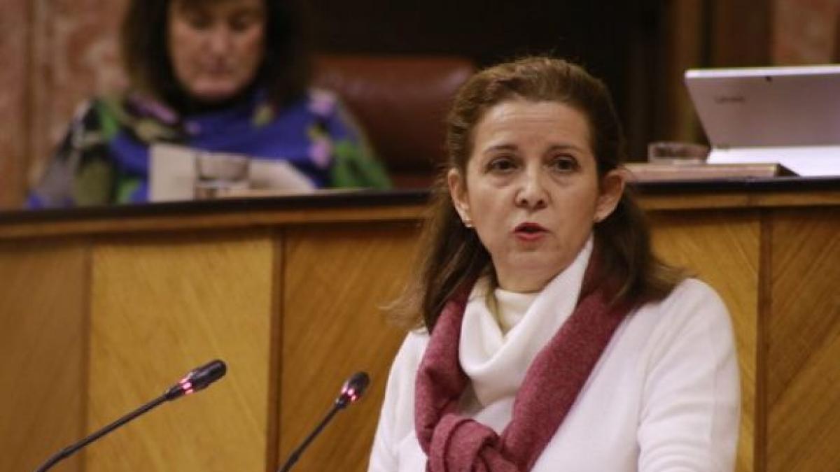 Dimite la presidenta de Vox en Sevilla: 'Retiran a cualquier persona ...