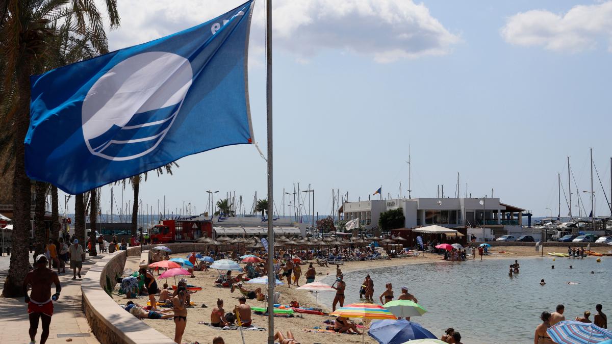 España lucirá 589 banderas azules este verano, 23 más que el año pasado