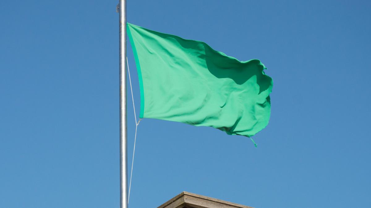 Conoces las banderas verdes y rojas en una relación. ¿Y las rosas?