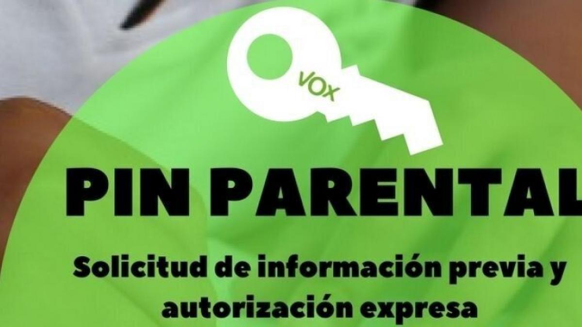 ¿Qué es el 'pin parental'?