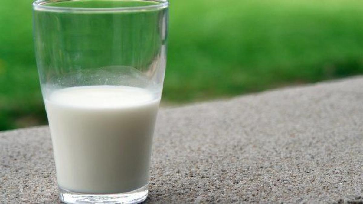 Leche fresca: ¿qué la hace única?