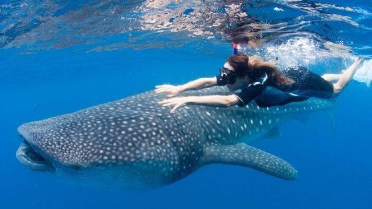 Fidio bokep tante removed my footwear and headed for the BT