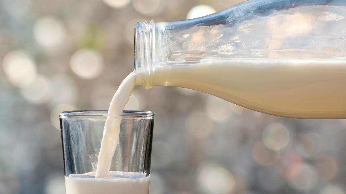 ¿Sigue siendo leche la leche?