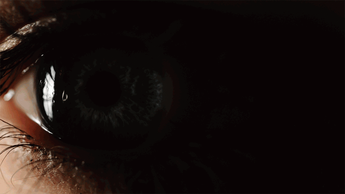 Estos primerísimos planos muestran la increíble diversidad del ojo humano
