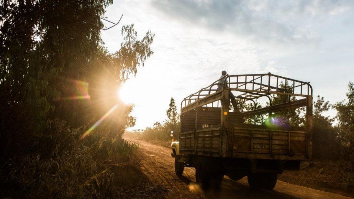 Cómo los países en vías de desarrollo pueden superar a los ...