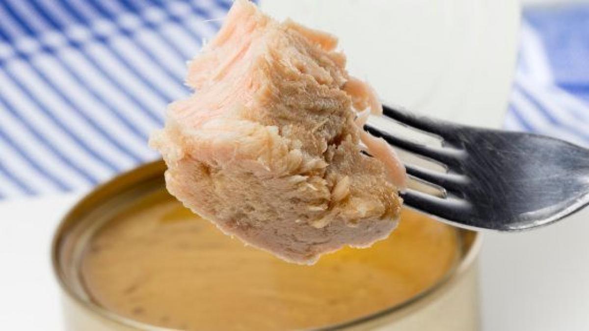 El ránking de la OCU de las mejores marcas de atún en aceite