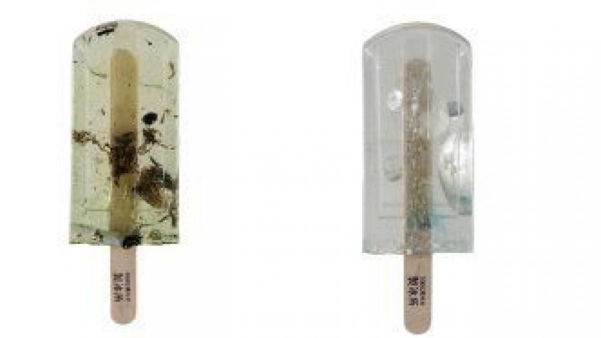 Estos polos de helado hechos con basura son educativos y asquerosos al ...
