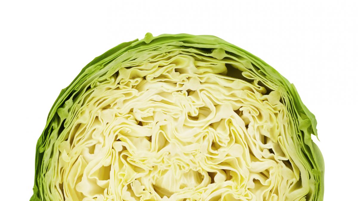 Ideas de recetas fáciles para incorporar el repollo a tu dieta