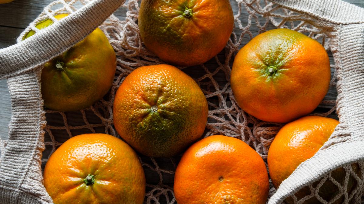Un experto explica qué pasa cuando verdean naranjas y mandarinas: NO es ...