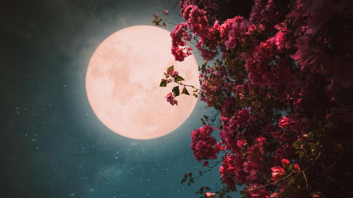 Luna de las flores 2025: cuándo y desde dónde ver la luna llena de mayo ...
