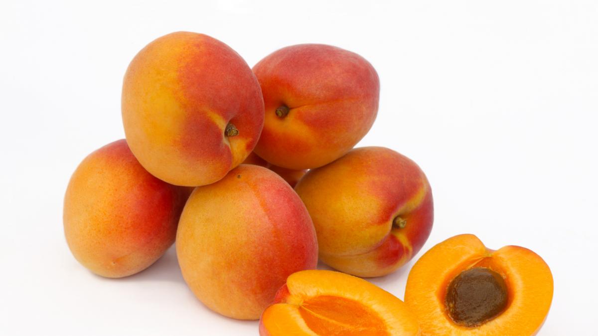 España sale al rescate de Italia con el albaricoque