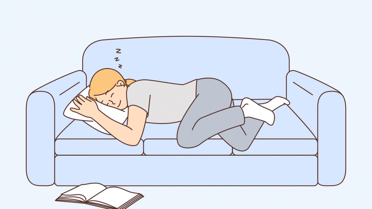 La siesta te agranda el cerebro