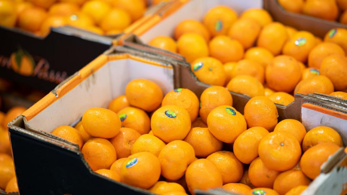 Una mandarina española revoluciona Estados Unidos