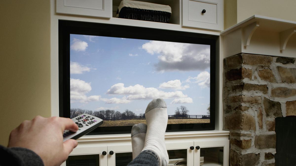 Un canario se sorprende al ver los anuncios de televisión en la ...