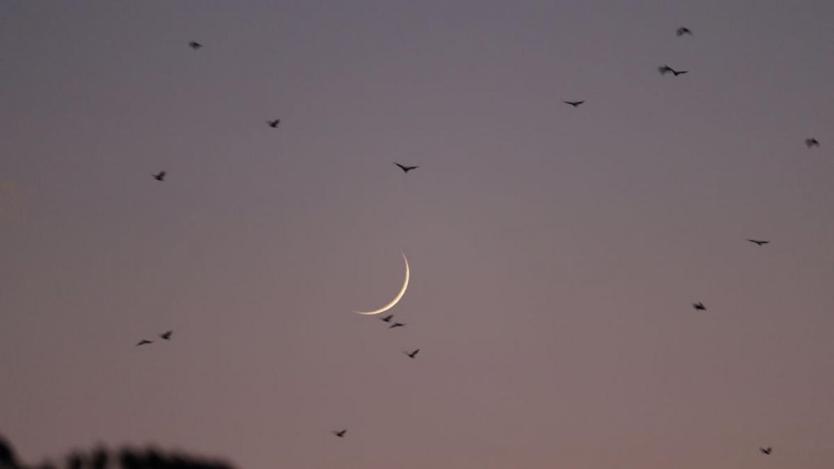 Luna Nueva del 11 de enero de 2024: horario y dónde ver desde España