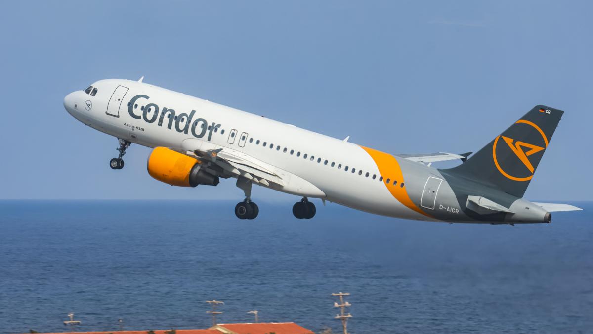 Se desata el virus del vómito en pleno vuelo y los pasajeros viven un ...