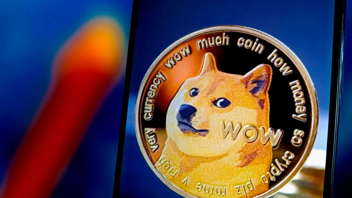 Muere Kabosu, la perra shiba inu que inspiró el meme Doge y la criptomoneda Dogecoin