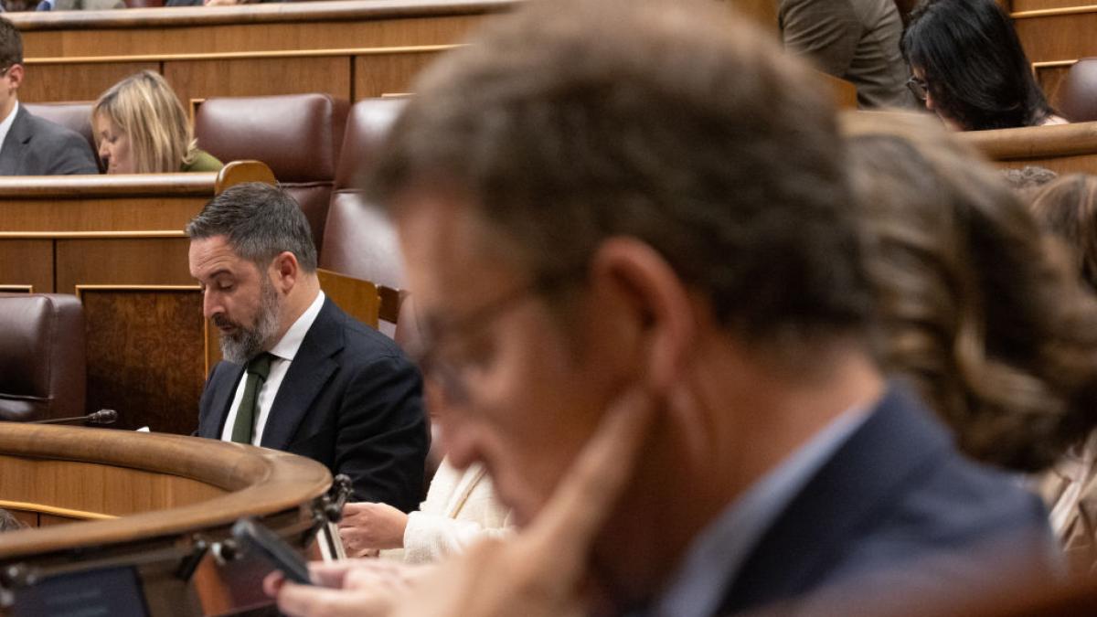 División en el PP sobre cómo actuar con Vox: 'Es mejor ignorarlos'